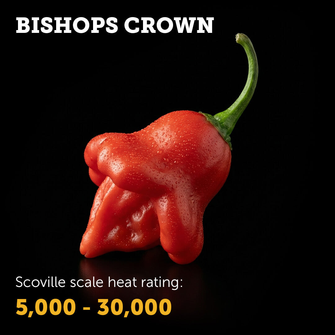 Bishop’s Crown Chilli Seeds | Ignition Seeds – Ignition Seed Company