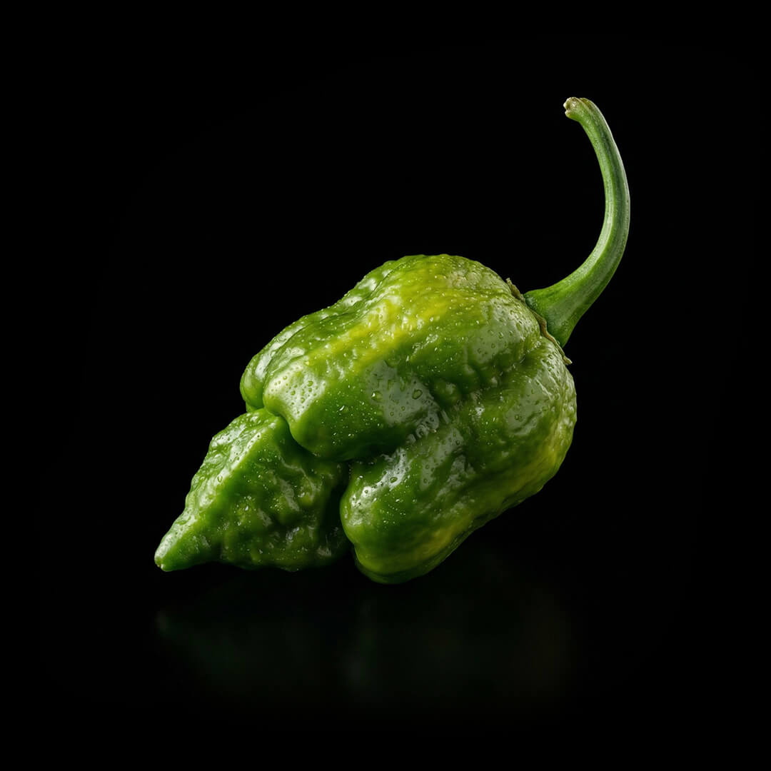 Orange Carolina Reaper Chilli Seeds | Ignition Seeds – Ignition Seed ...