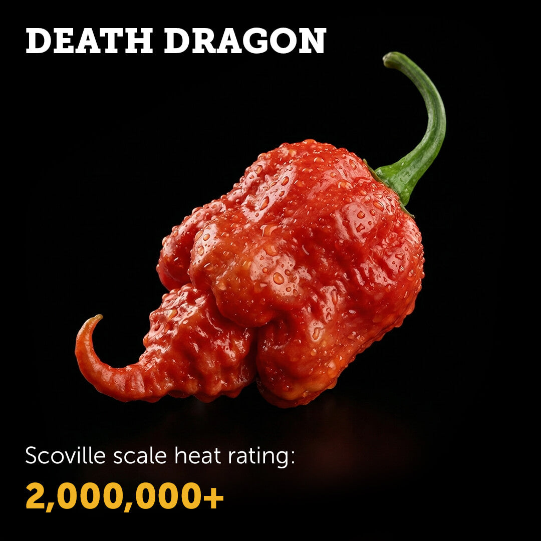 Death Dragon Chilli Seeds | Ignition Seeds – Ignition Seed Company