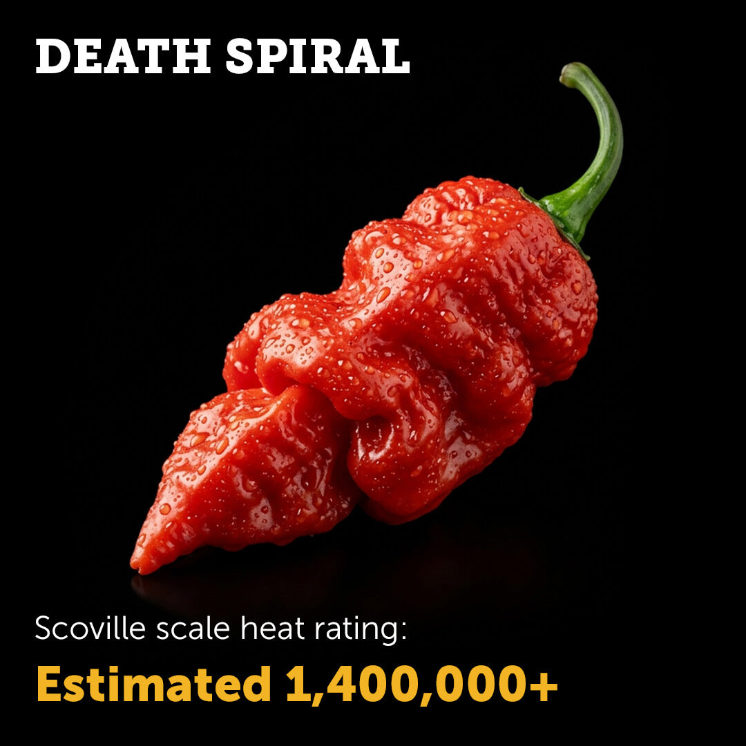 Death Spiral Chilli Seeds | Ignition Seeds – Ignition Seed Company
