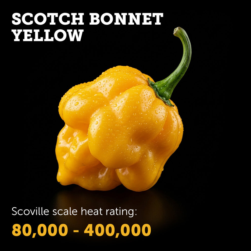 Yellow Scotch Bonnet Seeds | Ignition Seeds – Ignition Seed Company