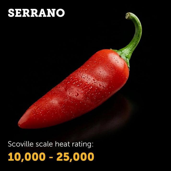 Serrano Chilli Seeds | Ignition Seeds – Ignition Seed Company