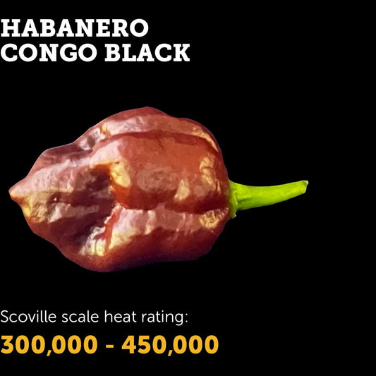 All Chilli Pepper Seed Varieties – Ignition Seed Company