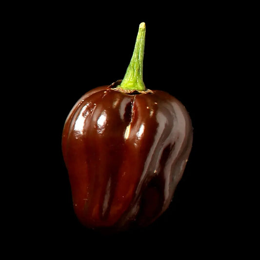 All Chilli Pepper Seed Varieties – Page 2 – Ignition Seed Company